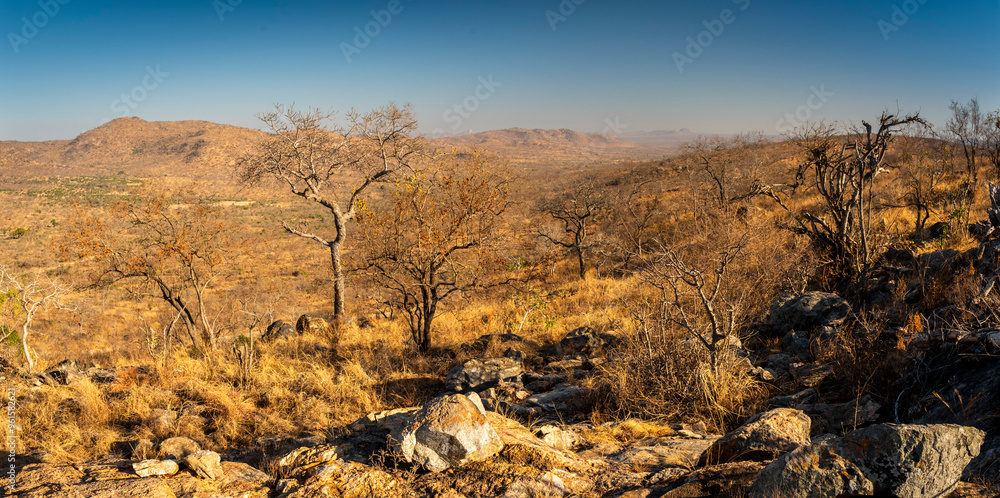 African savannah and bushveld landscapes in Game reserves like Kruger ...