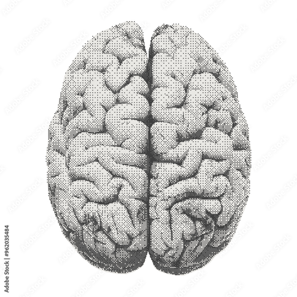 Human brain. Collage cutout element for scrapbook, poster, t-shirt ...