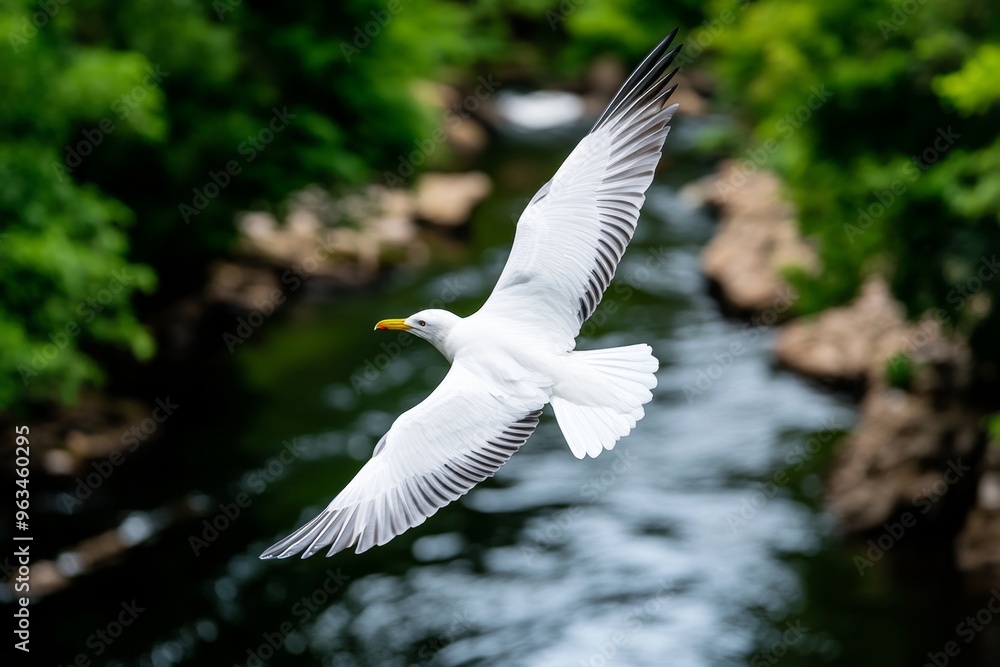 Bird soaring above a river, following the winding path below as it ...