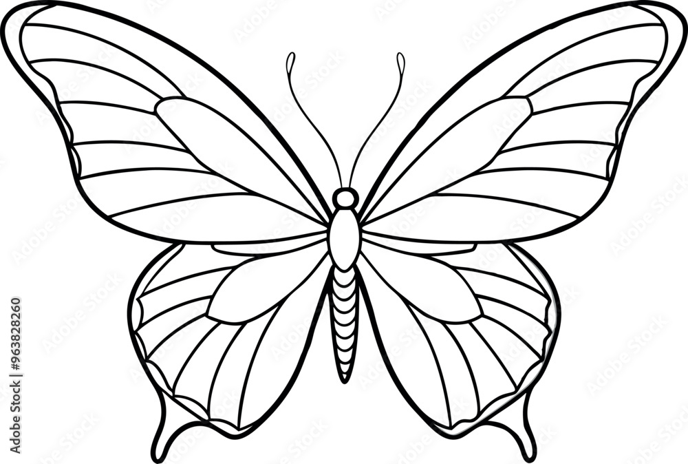 Detailed Butterfly Line Art Illustration for Coloring and Creative ...