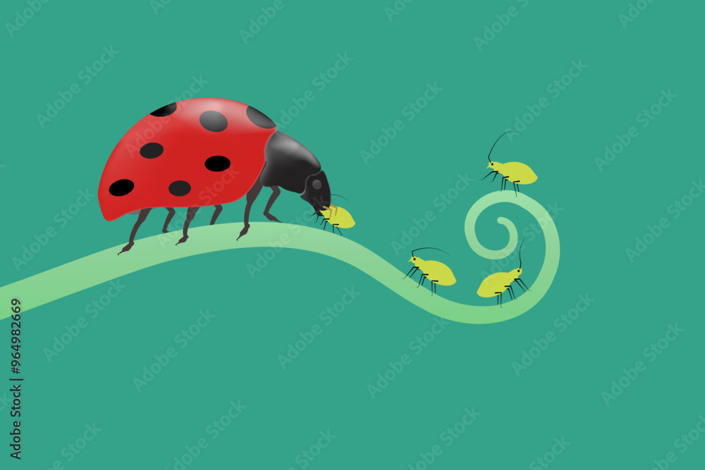 Ladybug vsIllustration of biological control through predator insects ...