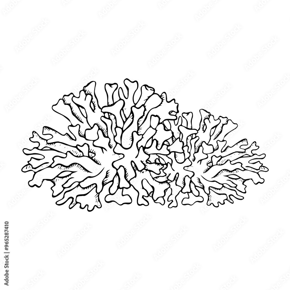 Coral colony flat vector illustration. Black and white sea reef animals ...