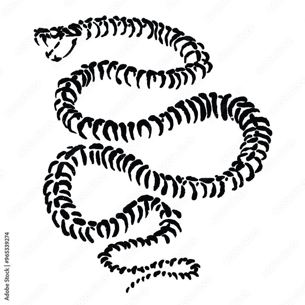vector sketch illustration of a deadly poisonous snake skeleton Stock ...