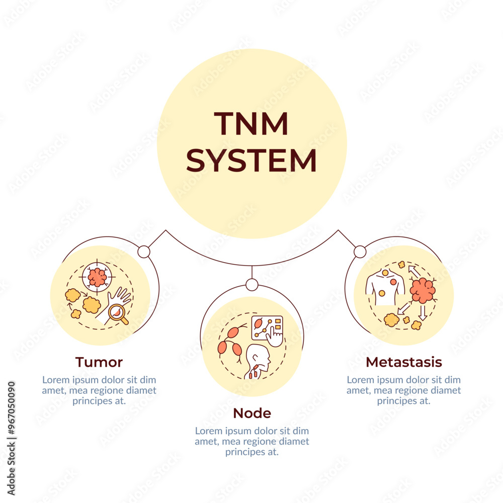TNM system circular diagram infographic. Cancer diagnostics. Oncology ...