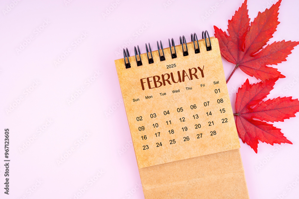 February 2025 monthly calendar and fall leaves on pink color background ...