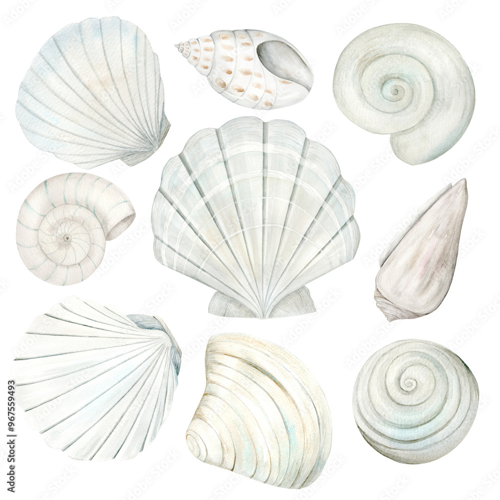 Sea Shells. A set of beige seashells. Watercolor pattern. Hand-painted ...