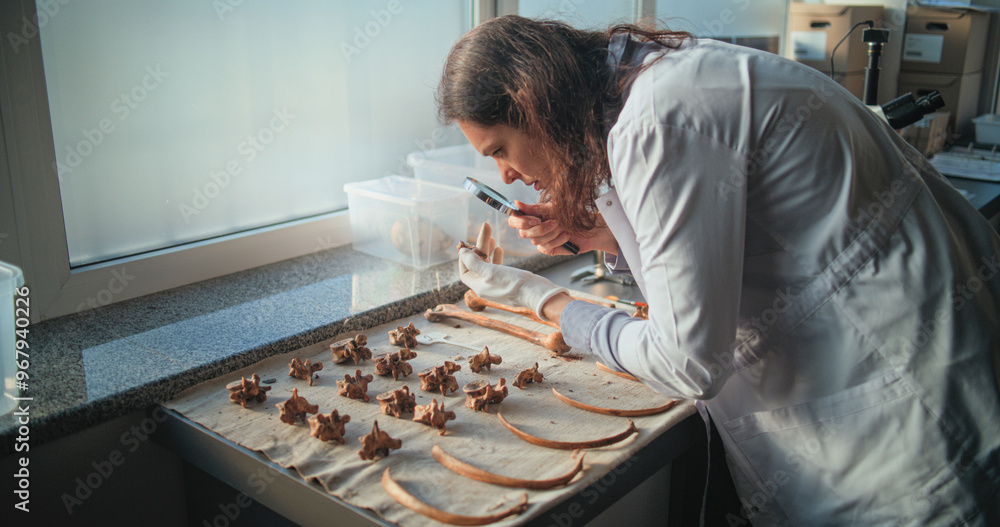 Female archaeologist or paleontologist studies bones of prehistoric ...