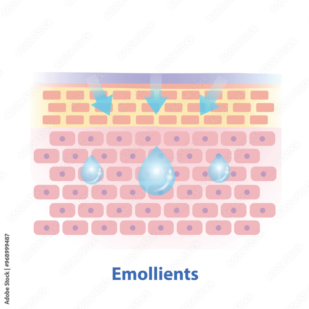 Emollients, type of moisturizer vector illustration isolated on white ...