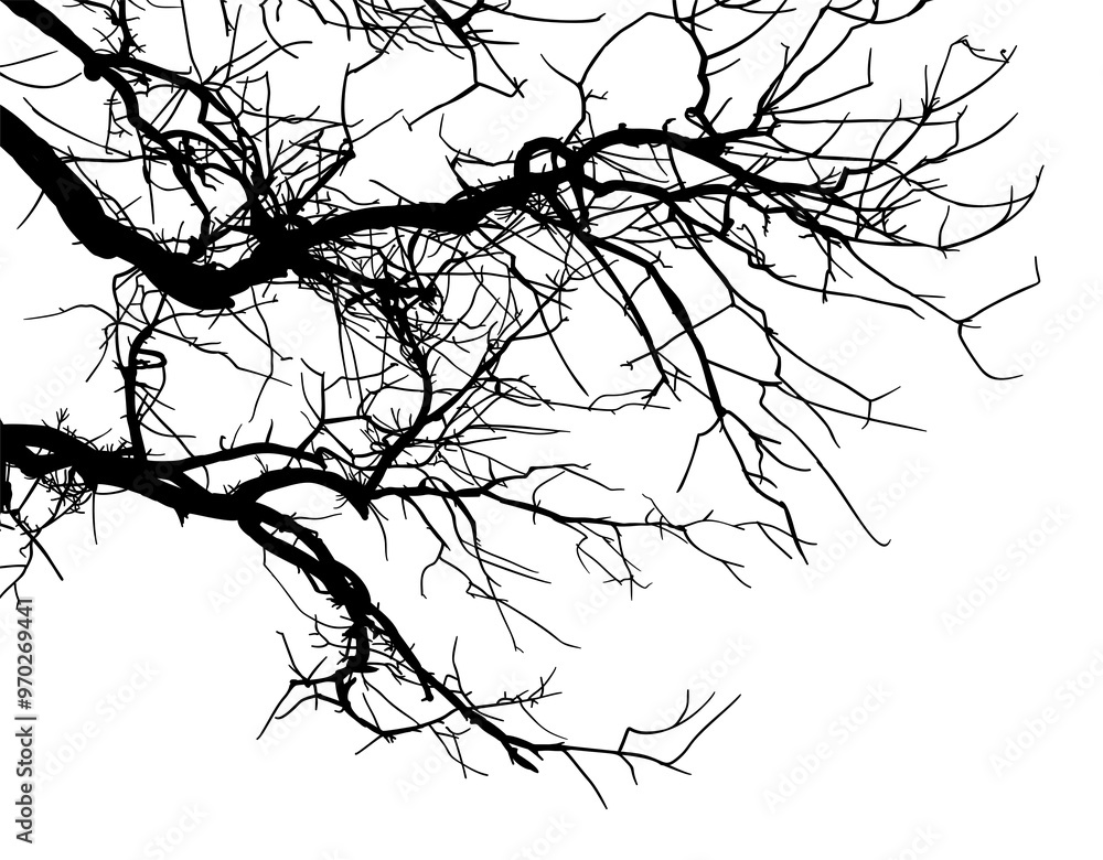 Foto de Stock silueta arbol, arbusto, hojas, ramas, otoño, ilustracion ...