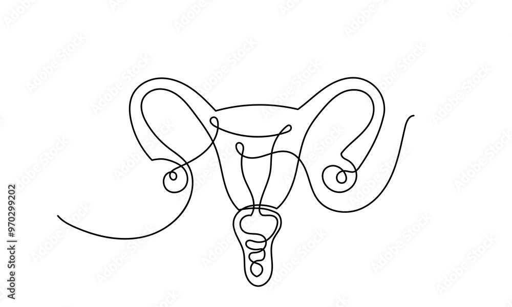 Continuous line drawing of women's Uterus and Ovary. One line Female ...