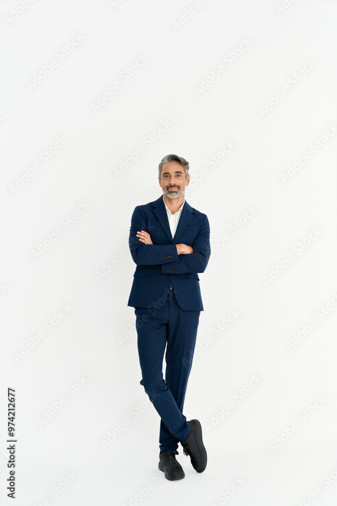 Stylish middle aged business man, mature professional executive ...