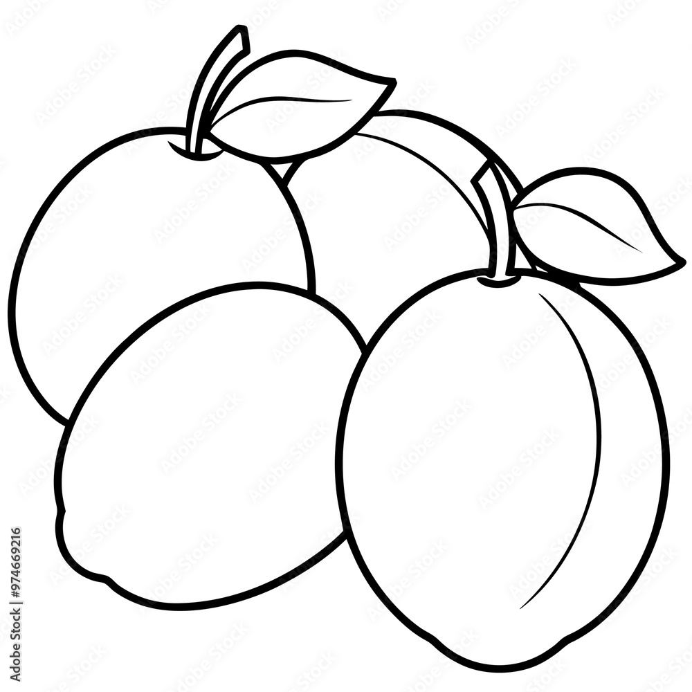 various mangoes outline coloring book page line art drawing Stock ...