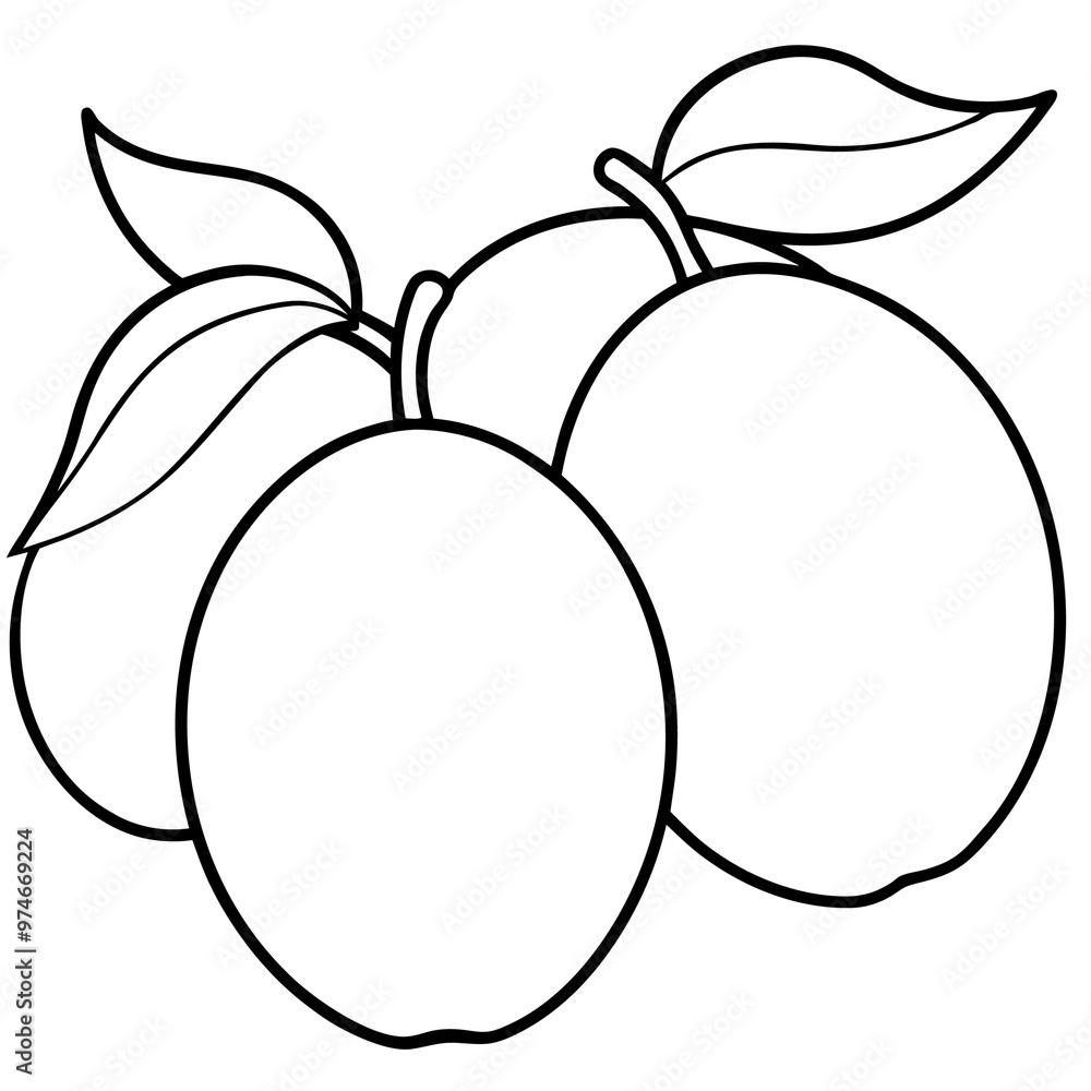 various mangoes outline coloring book page line art drawing Stock ...