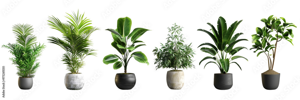 A row of potted plants with different sizes and shapes Stock Photo ...