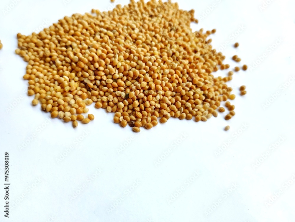 millet seeds on a white background. Millet seeds come from the millet ...