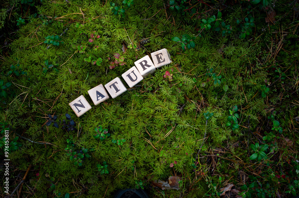 World Environment Day. World Climate Change Day. Clean Air Day. UN ...