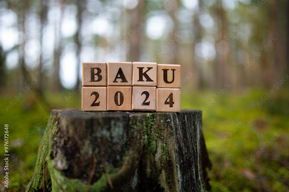 Cop29 Event Concept Image Render Baku Azerbaijan 2024 Words Baku