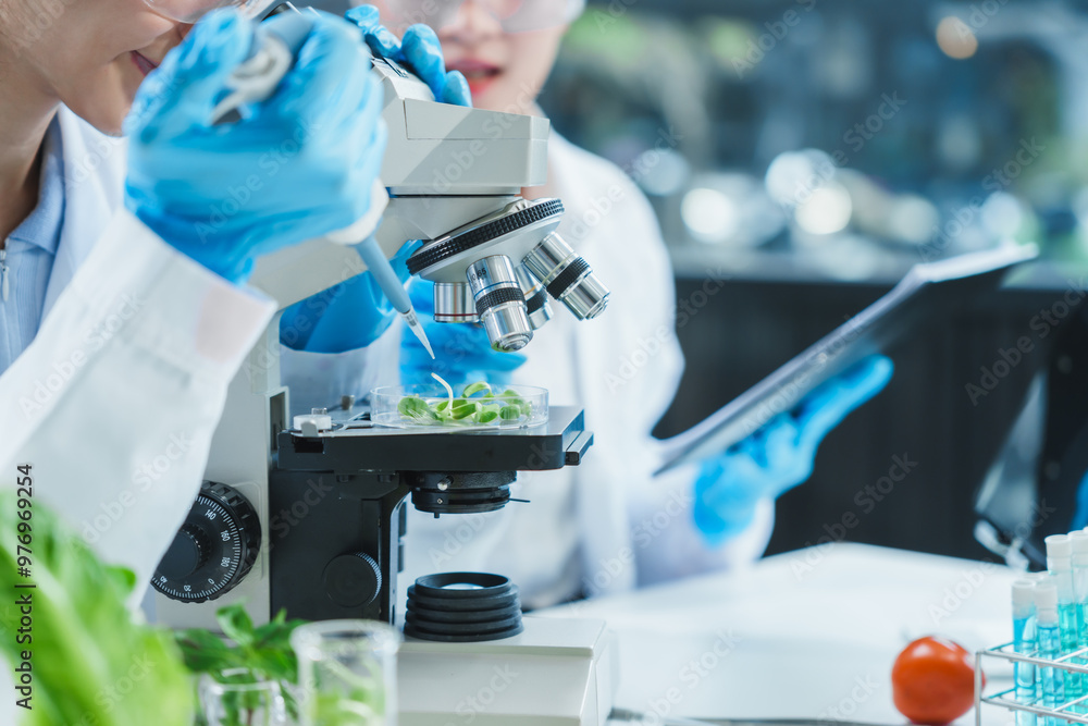 Two Asian women in a lab work on food research, using a microscope ...