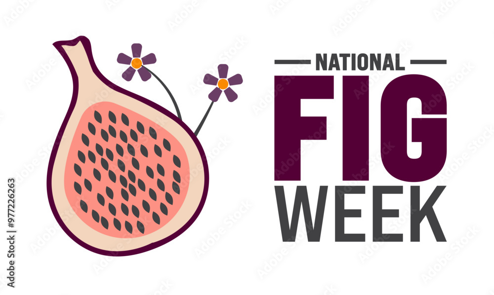 November is National Fig Week. Holiday concept. suitable for placard ...