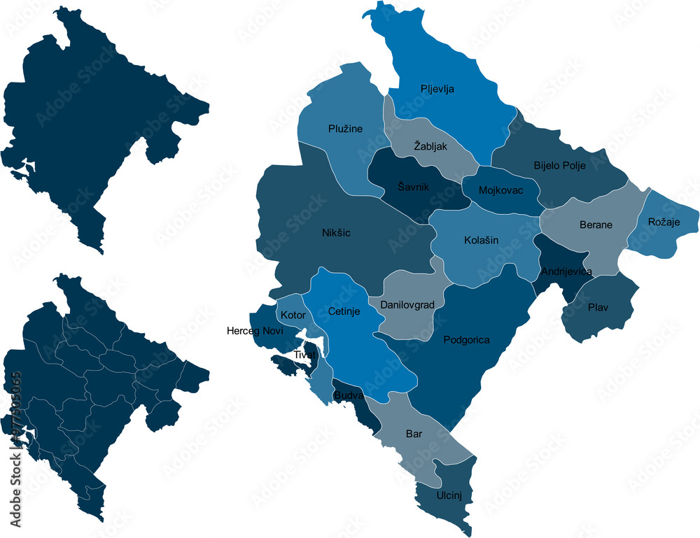 MONTENEGRO MAP with its administrative divisions and regions Stock ...