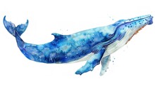 Whimsical Blue Whale Cartoon Free Stock Photo - Public Domain Pictures