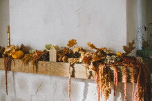 Autumn Mantel Decor Free Stock Photo - Public Domain Pictures
