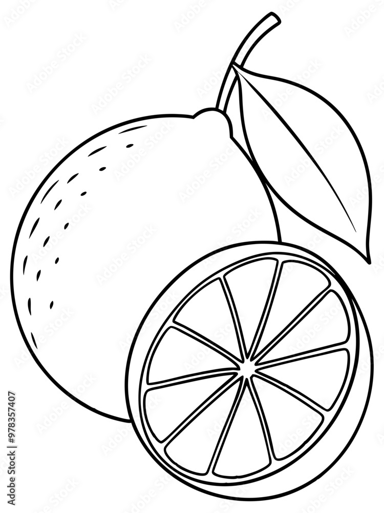 Lemon line art vector illustration Stock Vector | Adobe Stock