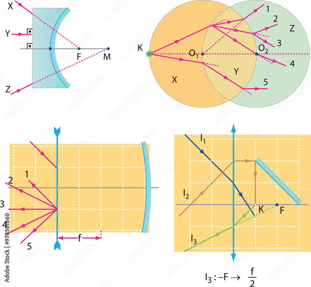Optics, reflection lesson forms, Light Reflection infographic diagram with example of light ...