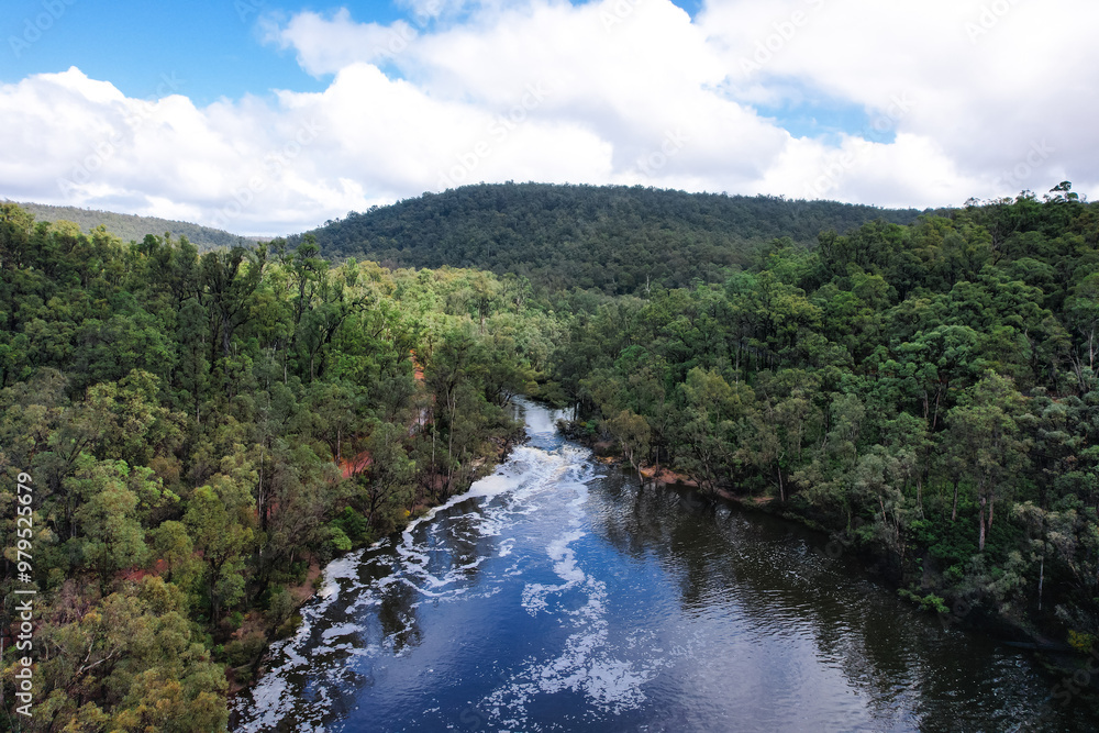 Aerial view of the Murray River and bush forests of Lane Poole Reserve ...