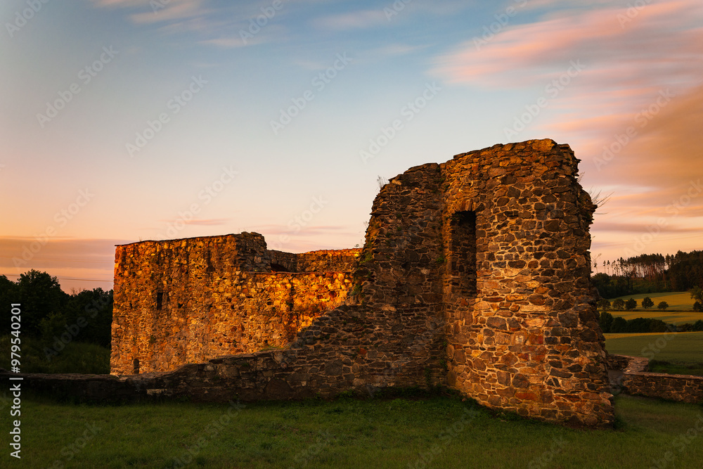 Perimeter walls of the collapsed Borotín castle in the Tábor district ...