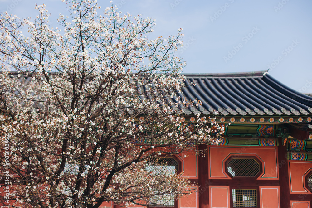 Gyeongbokgung Palace, Seoul, Jongno District, South Korea, in a spring ...
