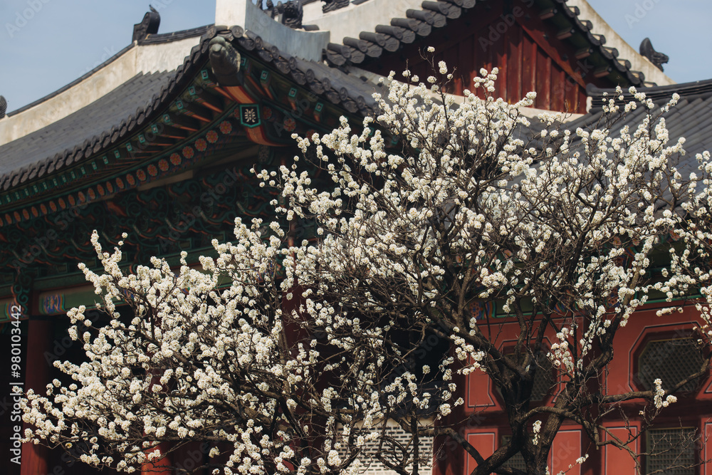 Gyeongbokgung Palace, Seoul, Jongno District, South Korea, in a spring ...