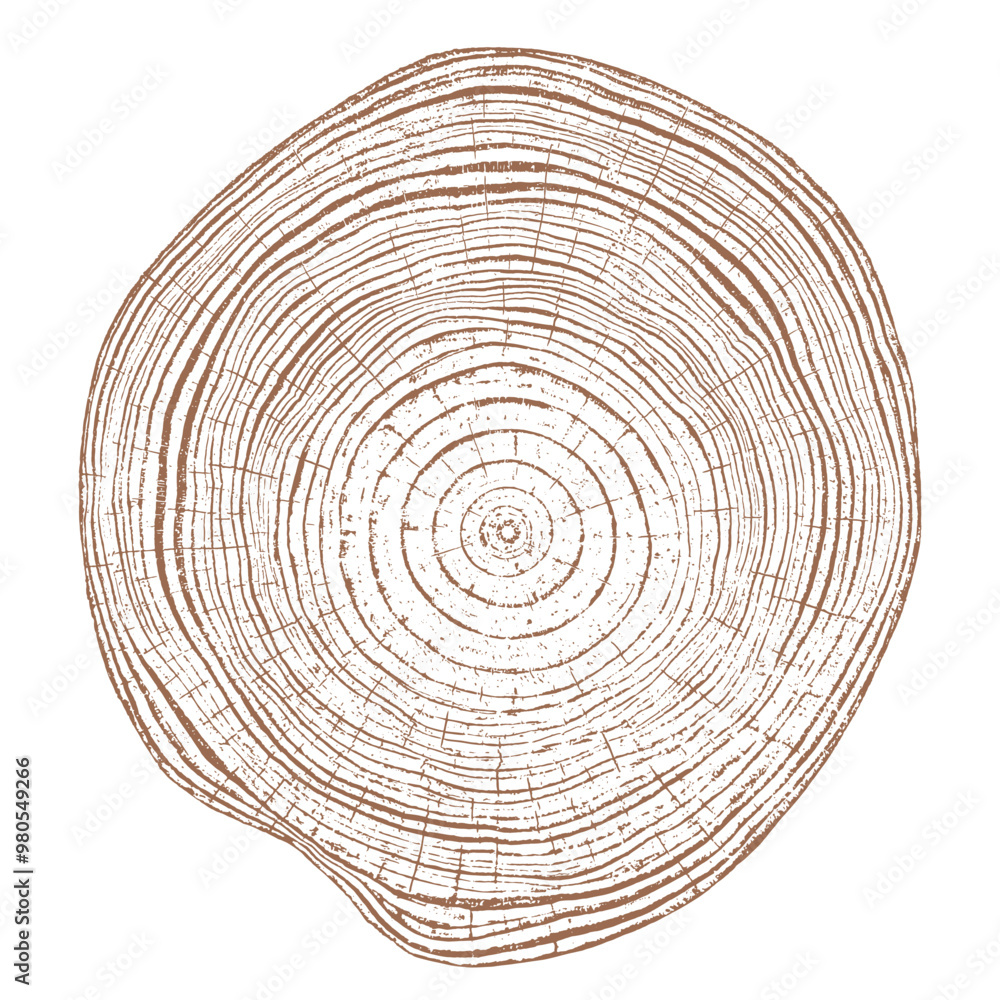 Tree wood texture. Wooden old trunk. Cut timber log. Abstract rings ...