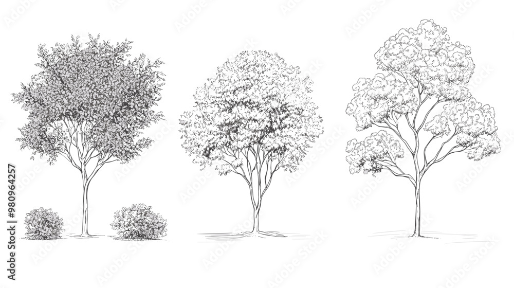 Architectural Drawings, Minimal style cad tree line drawing, Side view, set of graphics trees ...