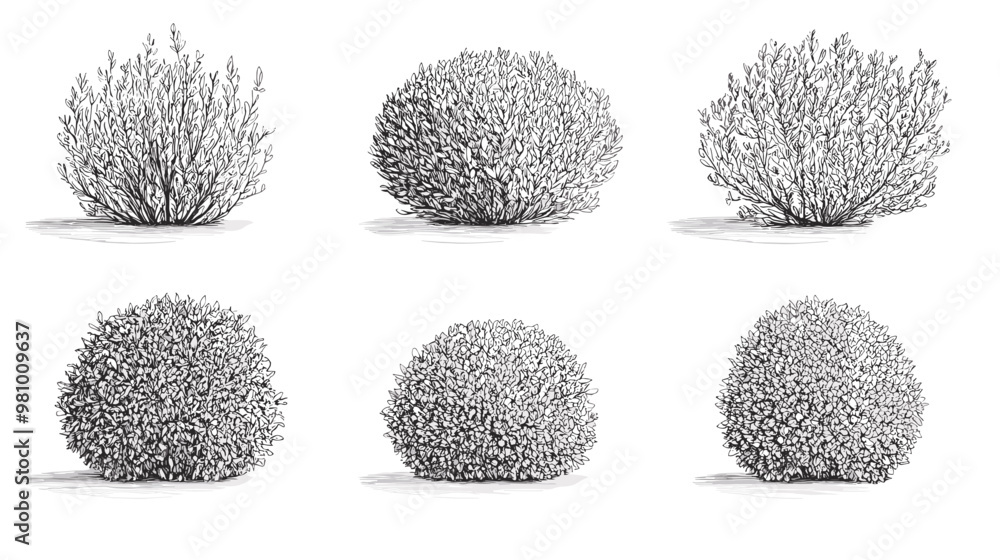 Set of vector bush illustrations on a white background. Architectural ...