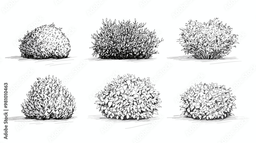 Set of vector bush illustrations on a white background. Architectural ...