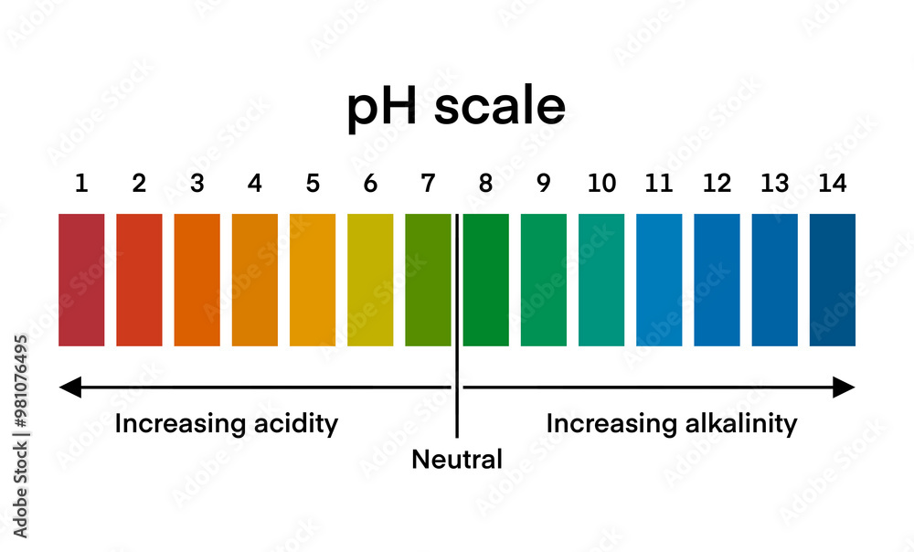 Ph scale diagram, Ph scale graphic, Acid to base, pH scale Infographic ...