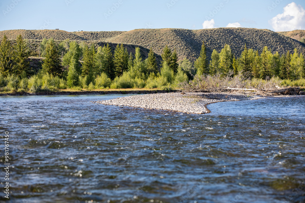 Photograph of towhead land formation in the middle of Snake River at ...