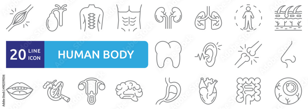 Human body icon set Stock Vector | Adobe Stock