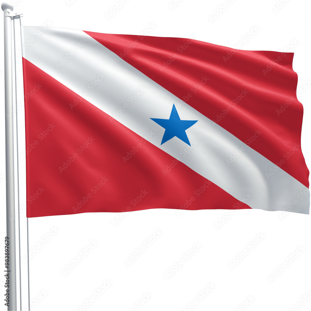State of Pará flag (Brazil) - Bandeira do Estado do Pará - (Brasil) em ...