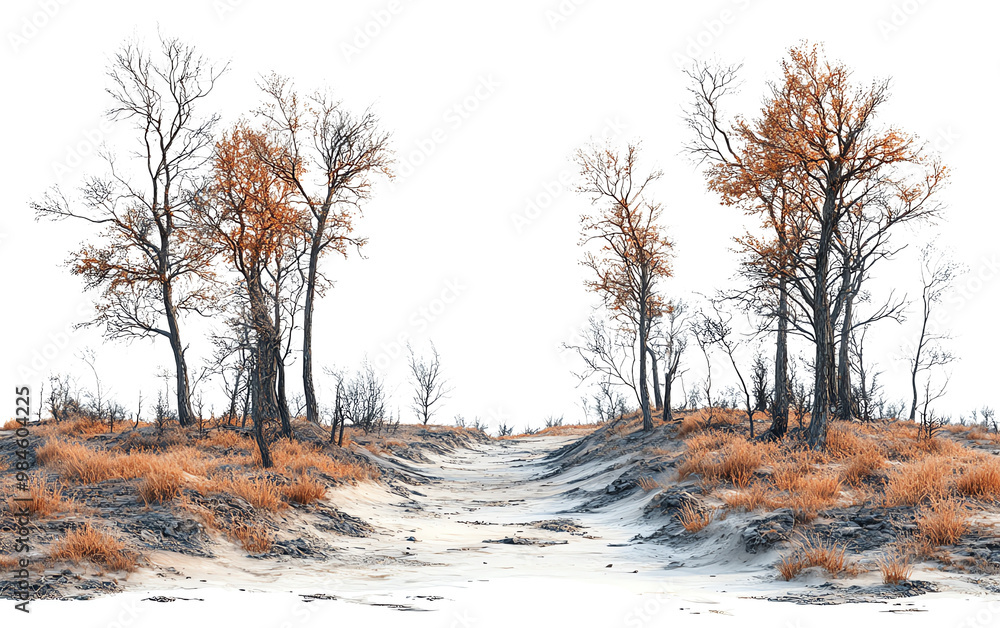 Scorched trees and dead landscape after nuclear war, isolated on white ...