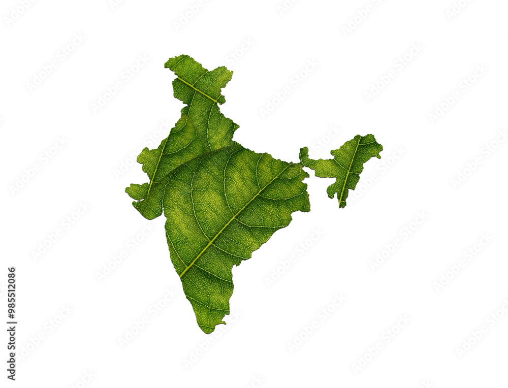 India map made of green leaves on white background ecology concept ...