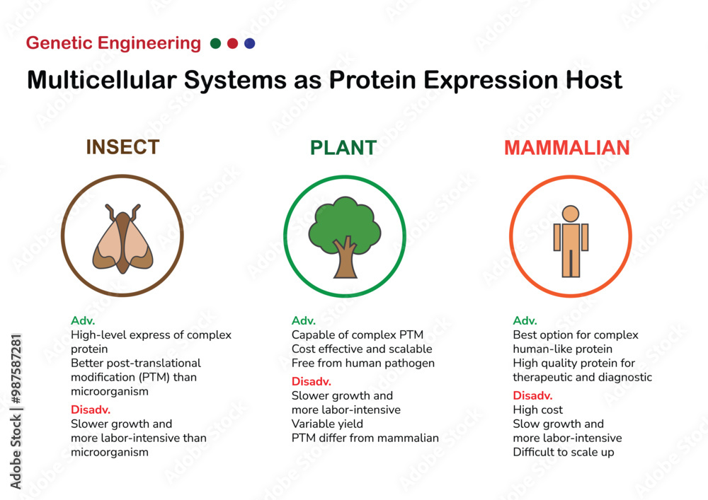 The Infographic Presents Insect, Plant, and Mammal as Multicellular ...