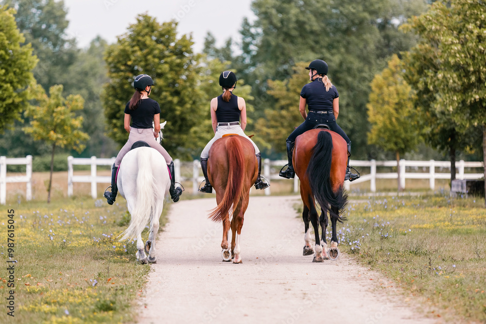 Rear view of three female riders riding horses side by side near white ...