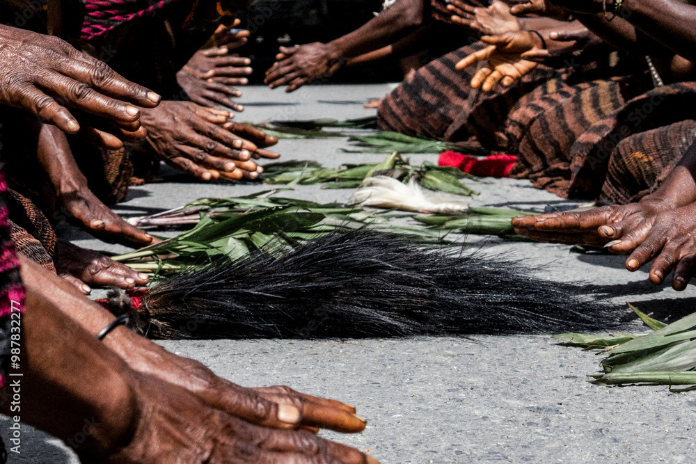 Hand Of Papuan Culture Stock Photo | Adobe Stock