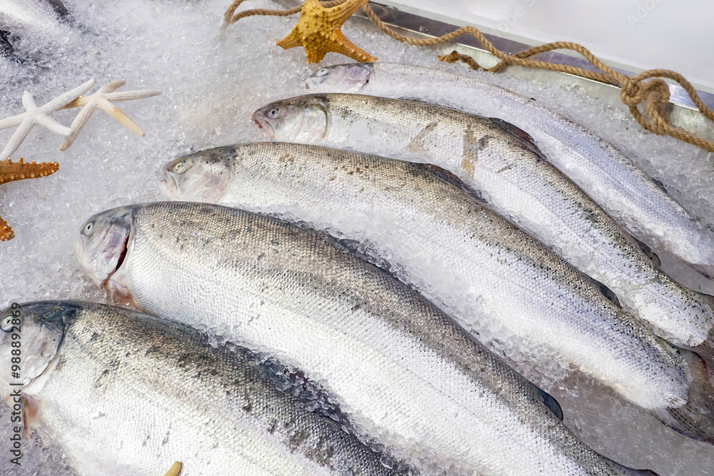 Fresh fish on store counter. Sale of chilled seafood. Whole salmon on ...