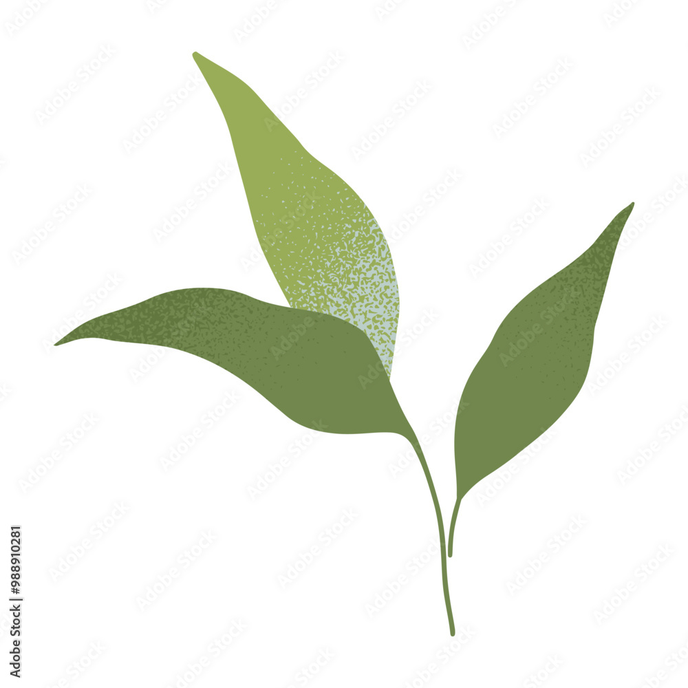 Vector green summer or spring branches and leaves.Simple element for ...
