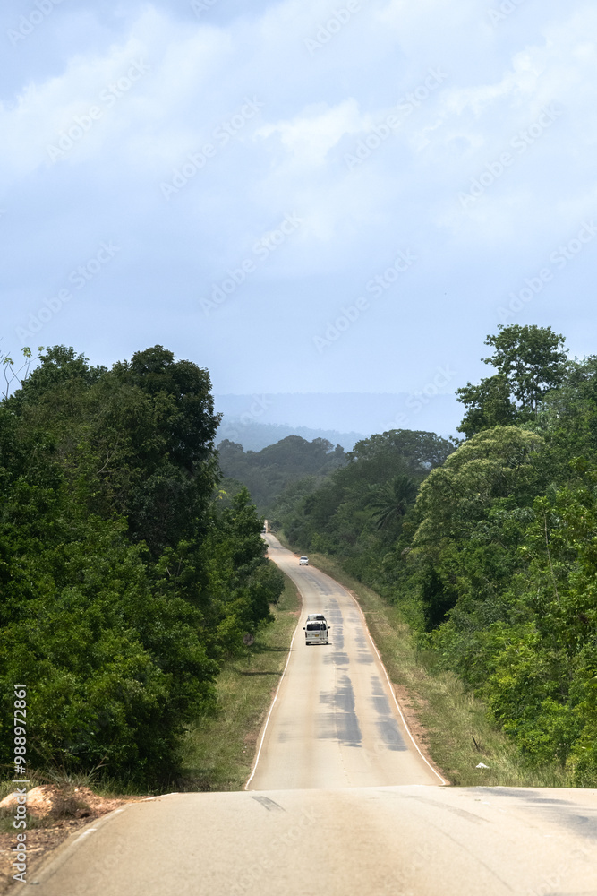 Brokopondo highway cutting through the Amazon Rainforest in Suriname ...