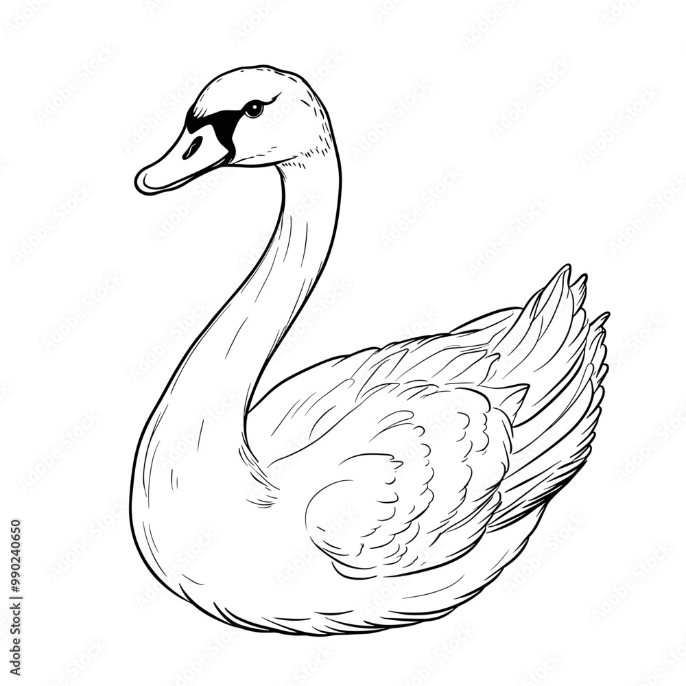 Cute Swan coloring pages for children. Black and white cartoon ...