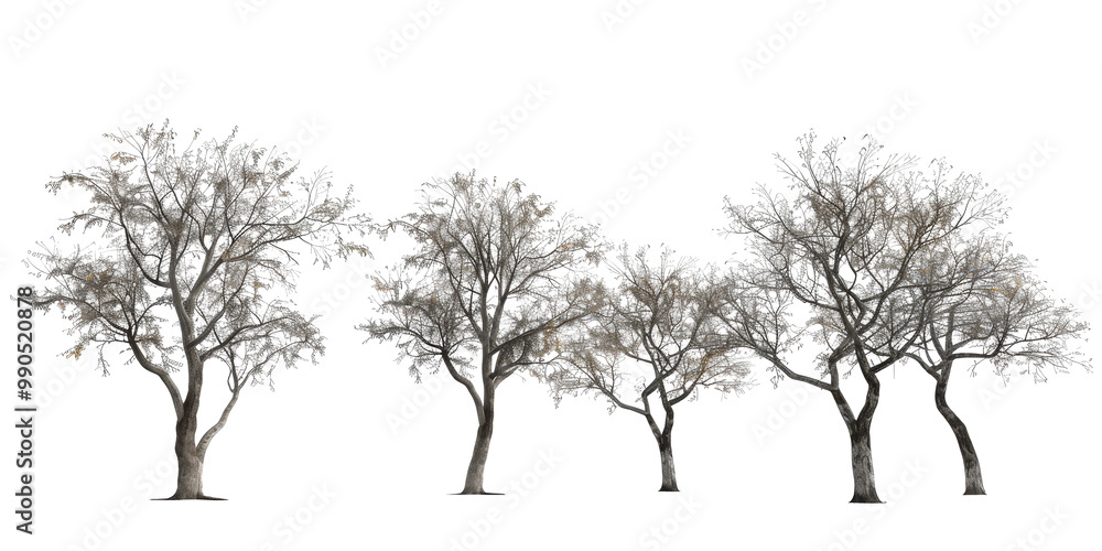 The PNG file showcases barren trees with no leaves, isolated from their ...
